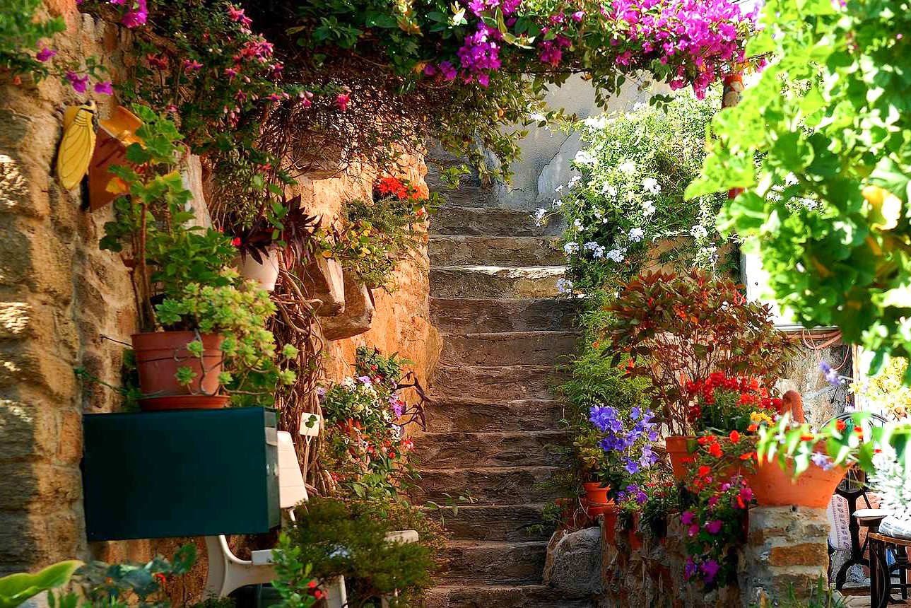 Bormes les Mimosas the flower village on the French coast - Francecomfort Holiday parks