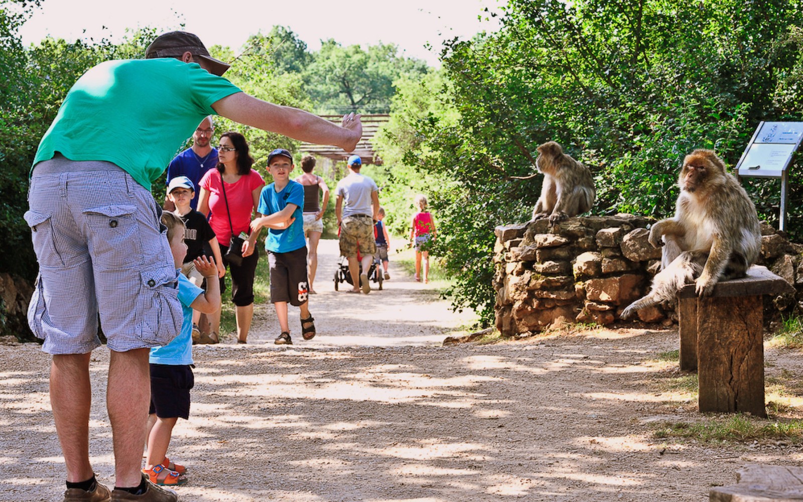 Monkey park Foret des singes Rocamadour - Francecomfort Holiday parks