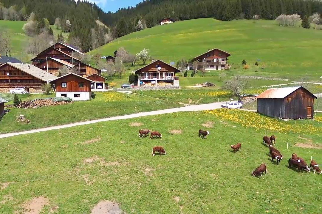 Cheese farm in the Abondance valley - Francecomfort Holiday parks