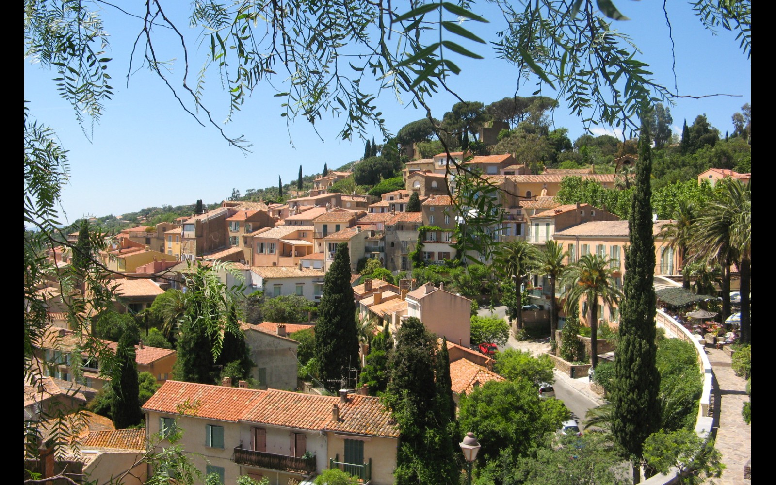 Bormes les Mimosas the flower village on the French coast