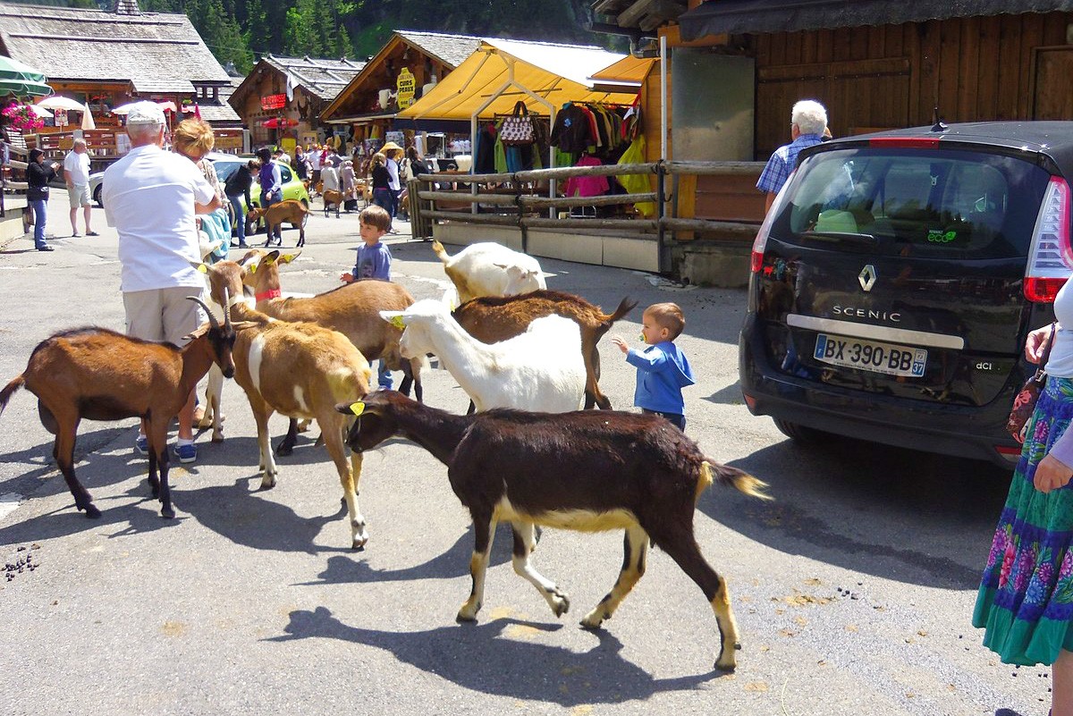 Lindarets – le village des chevres - Francecomfort Parcs de vacances